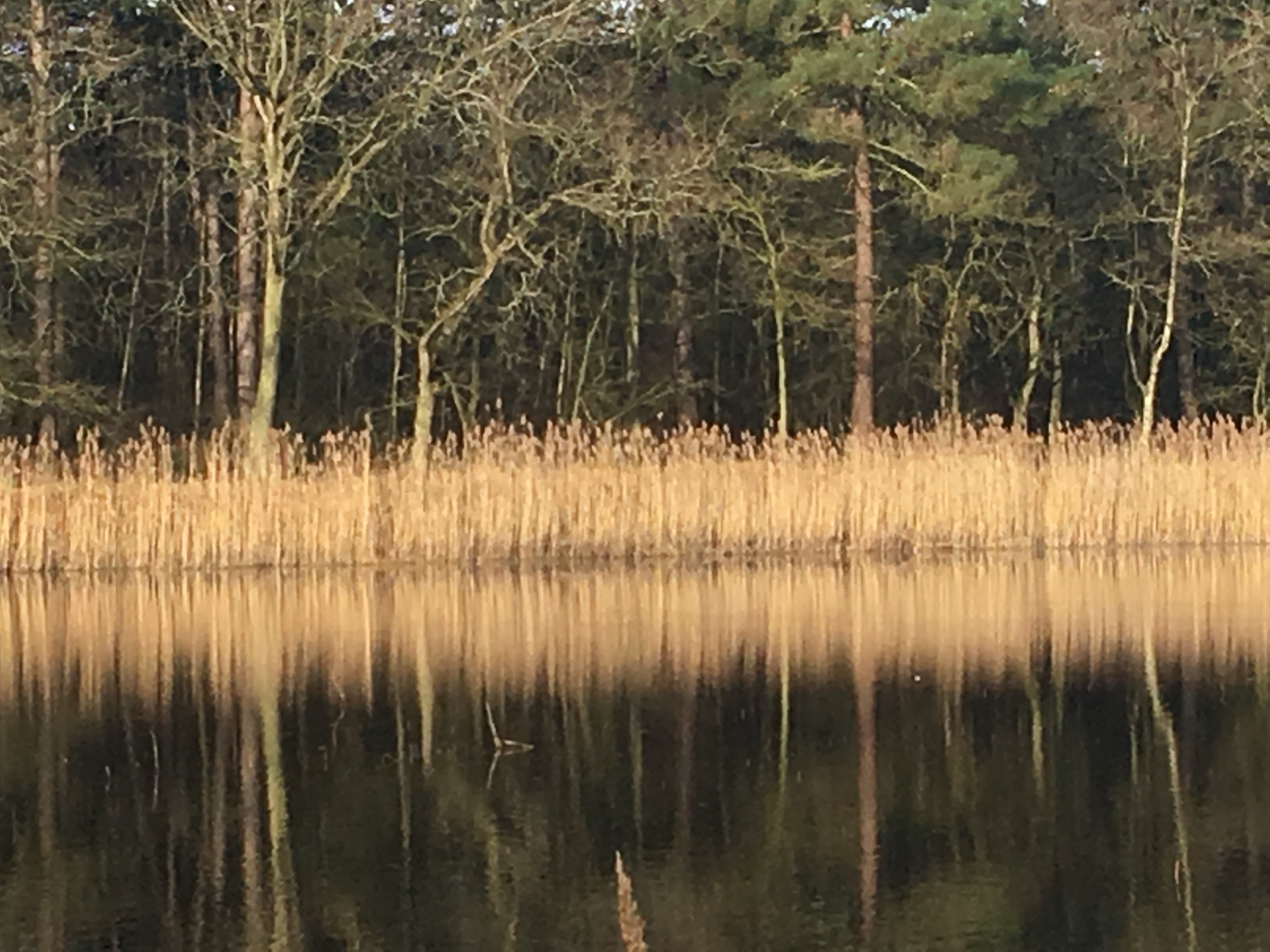 Mijn eigen eye-opener – Mijmeringen