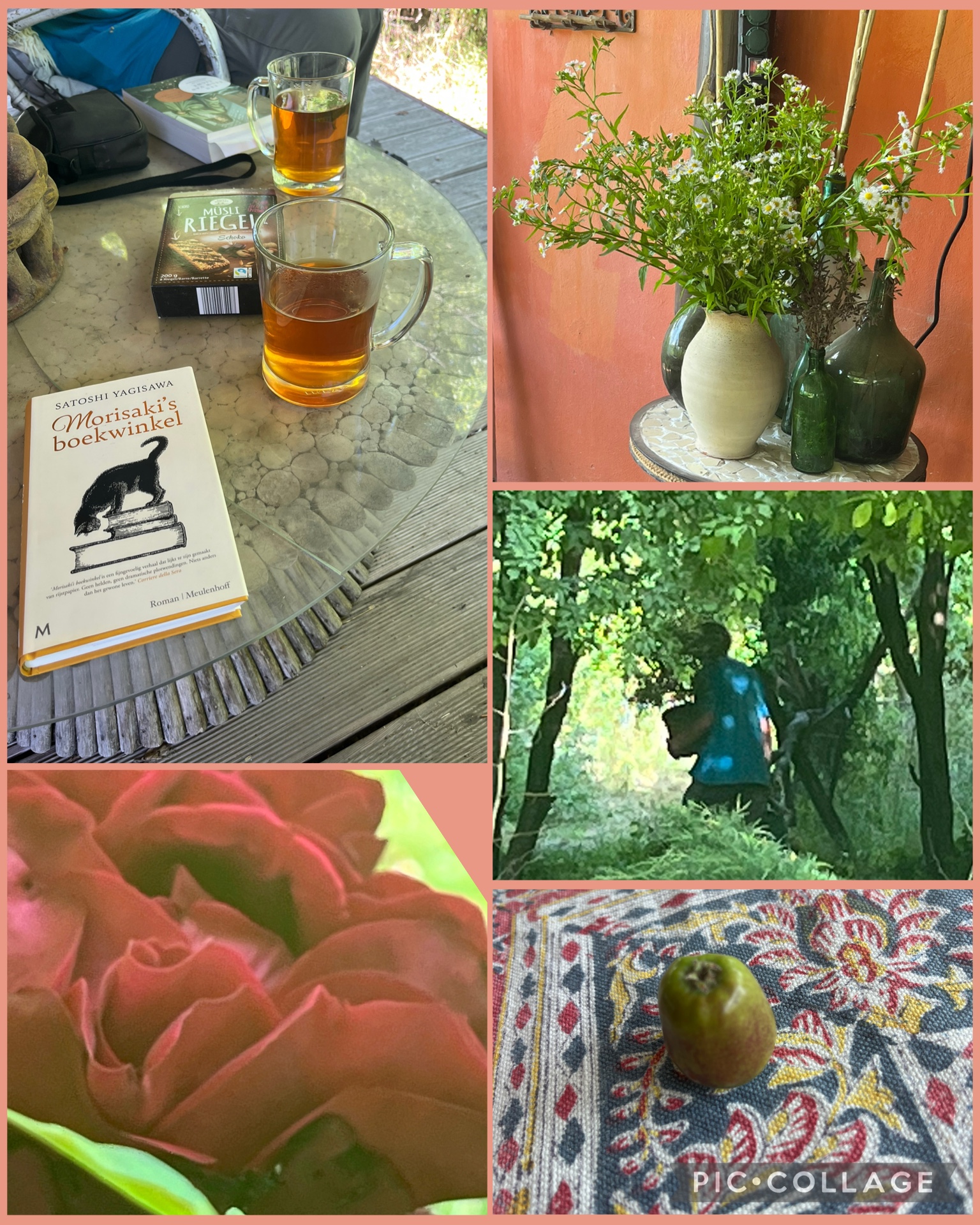 Een reden om er reikhalzend naar uit te kijken – Mijmeringen